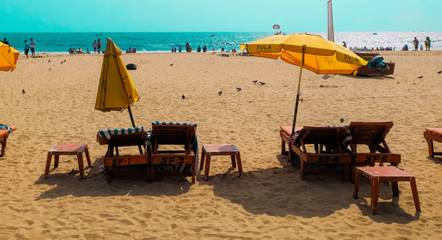 BEST ACTIVITIES TO DO IN GOA - Tourism over the World